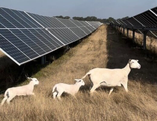 SOLV Energy | News